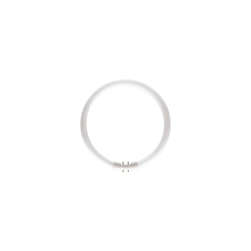 2GX13 CIRCLINE MASTER TL5 CIRCULAR 22w 830 PHILIPS